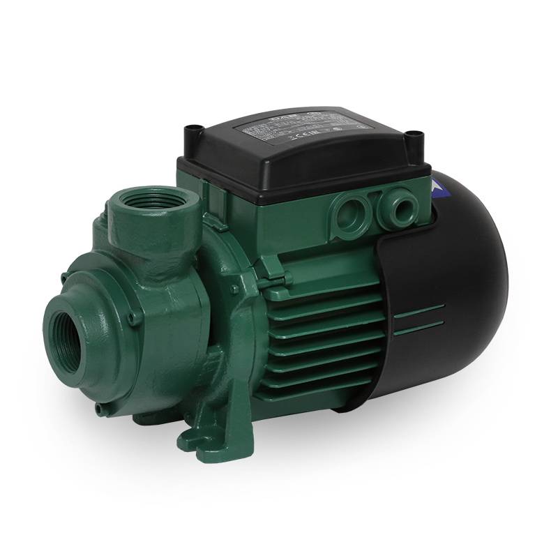 DAB KPF 30/16 T PERIPHERPUMPE Kreiselpumpe Wasserpumpe... nur 144.90 EUR